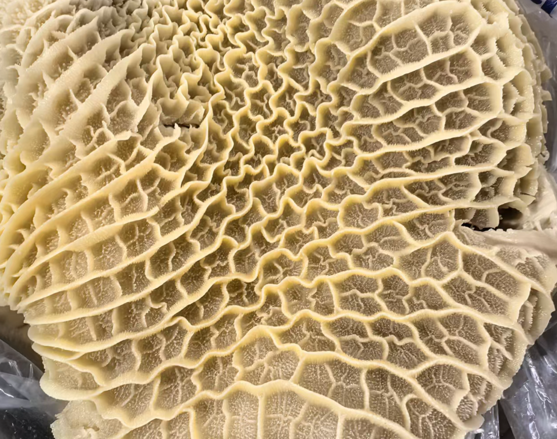 Beef Honeycomb Tripe 金钱肚 – Celeplate