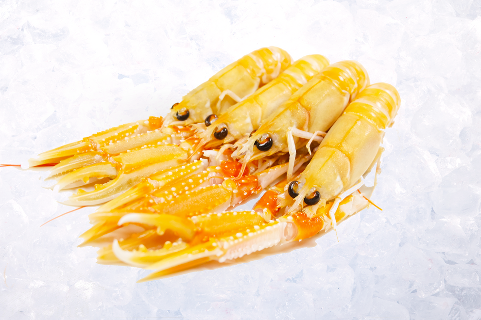 Scotland Wild Langoustine 苏格兰船冻刺身鳌虾 – Celeplate